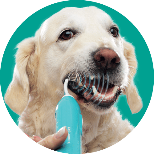 About emmi®-pet - Ultra Clean Canines